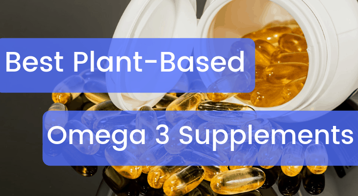 5 Best Vegan Omega 3 Supplements Algae Dha No Carrageenan